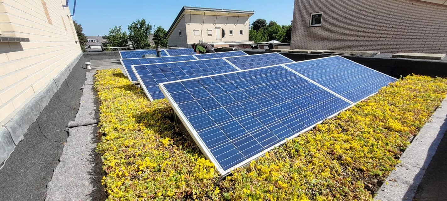 Sedumdak In Combinatie Met Zonnepanelen Positief Voor De
